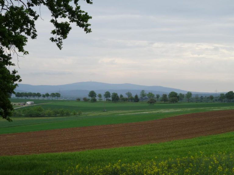 Wallrabenstein – Sonntagswandern