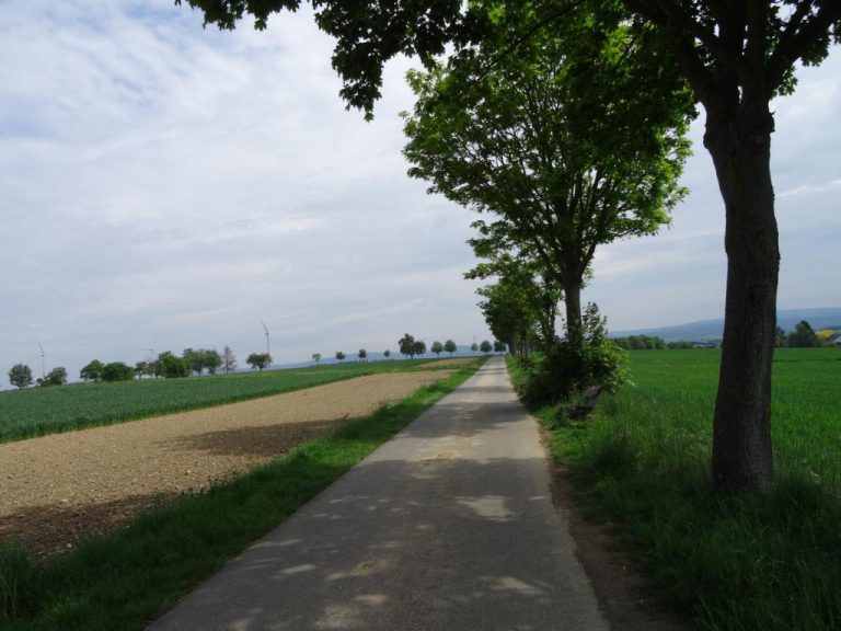 Wallrabenstein – Sonntagswandern