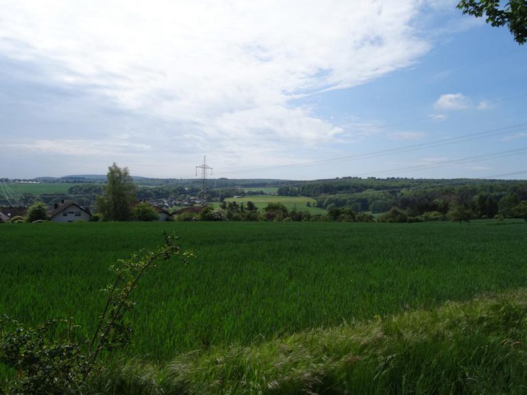 Wallrabenstein – Sonntagswandern