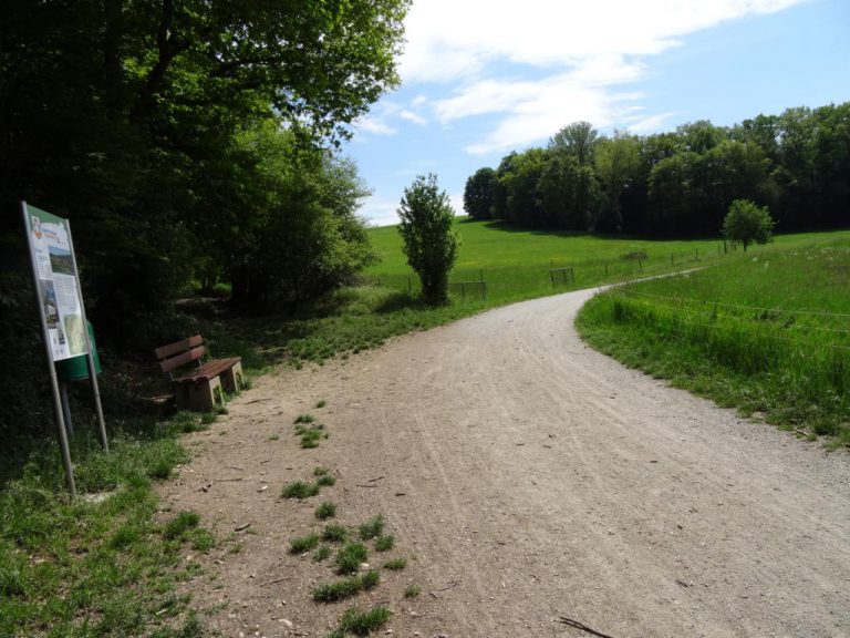 Wallrabenstein – Sonntagswandern