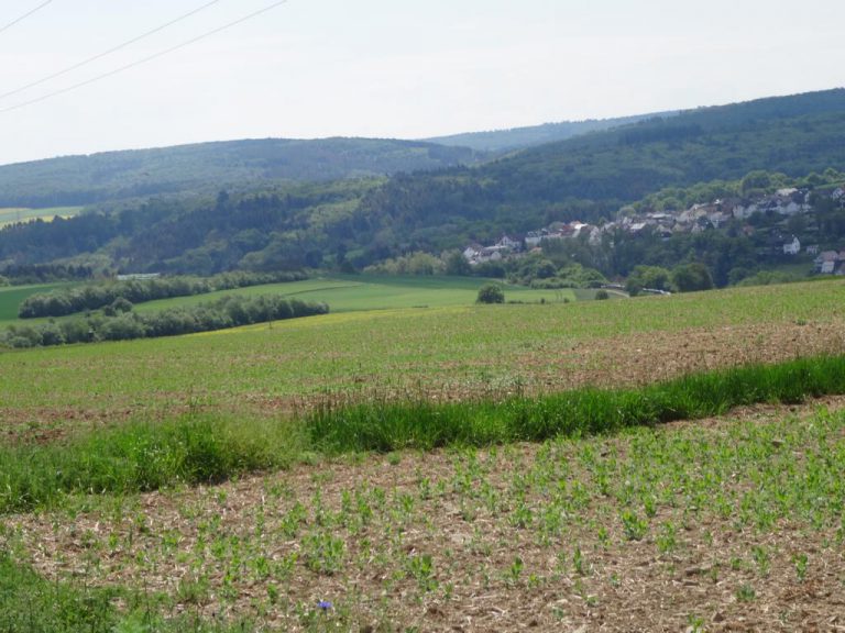 Wallrabenstein – Sonntagswandern