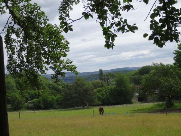 Rund um Wirges und Dernbach im Westerwald – 7 Juni 2020 – Sonntagswandern