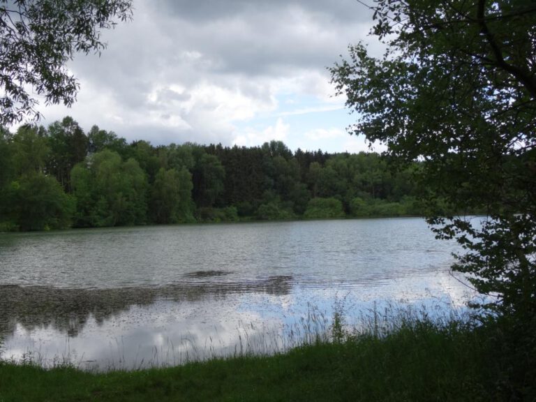 Rund um Wirges und Dernbach im Westerwald – 7 Juni 2020 – Sonntagswandern